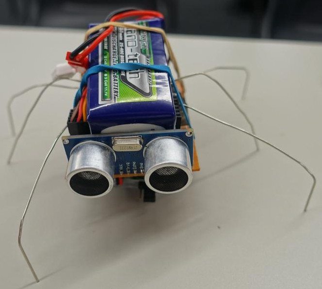 Digital Technologies Program for Primary Schools | OpenSTEM Pty Ltd